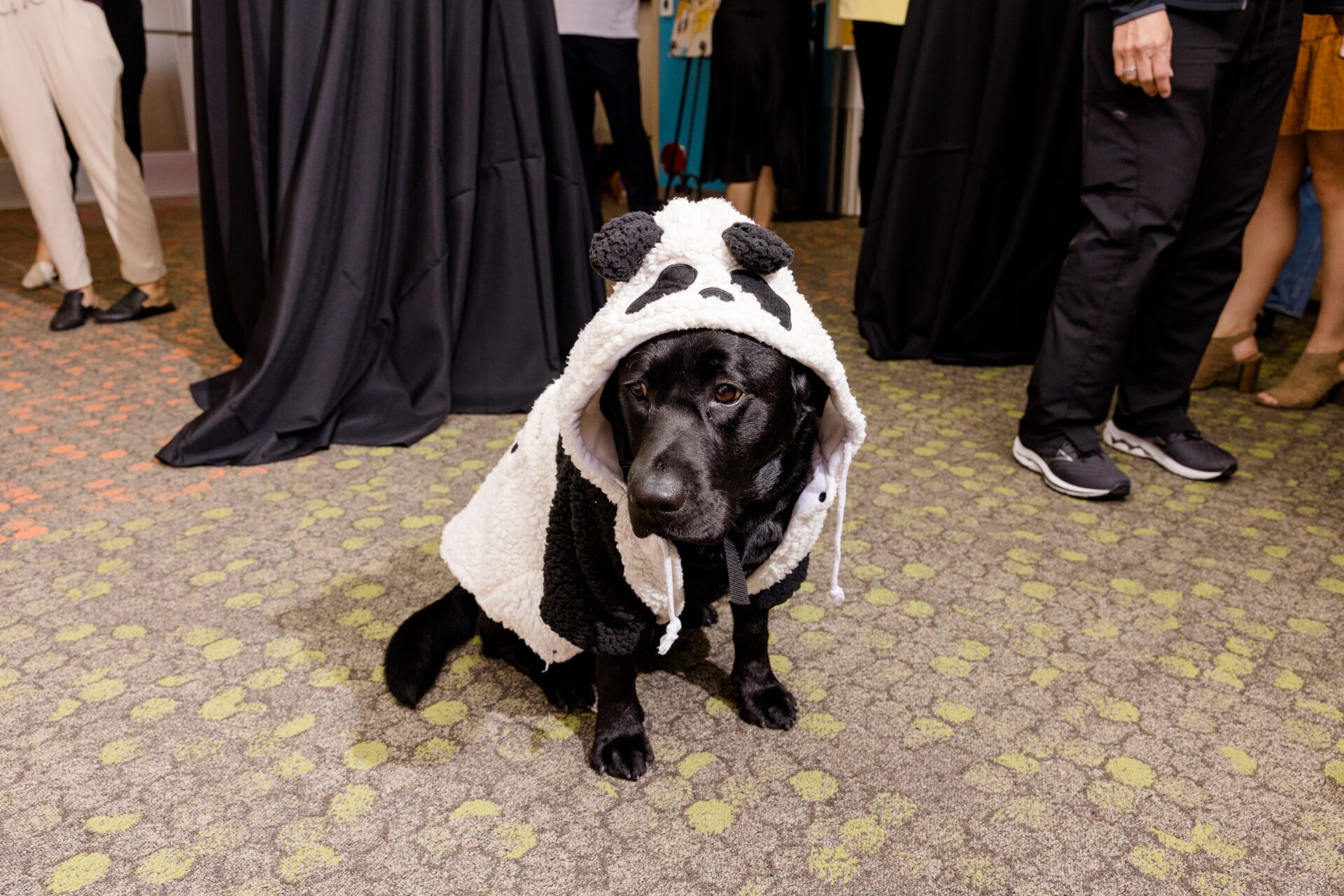 Panda Express CEO Makes Donation To Phoenix Children’s Hospital