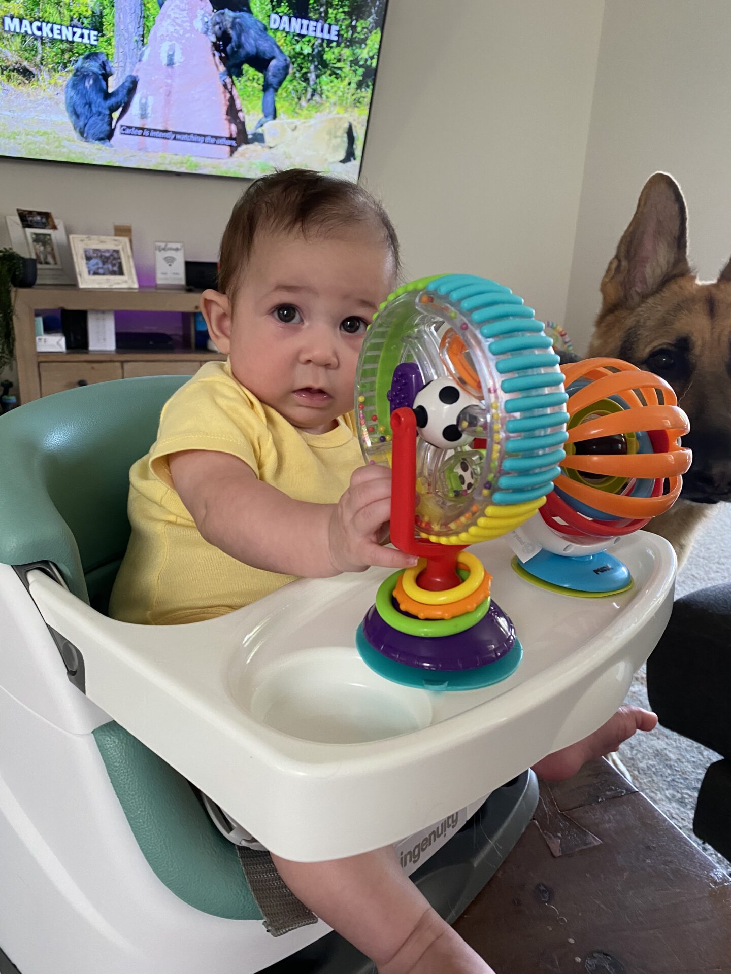 A Nourishing Path Forward | Phoenix Children's
