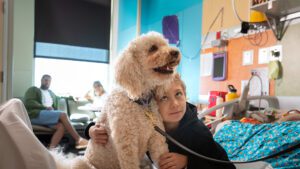 Phoenix Children's Foundation